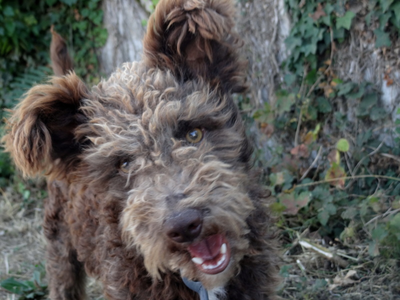 MOcko 1 • Association Galia