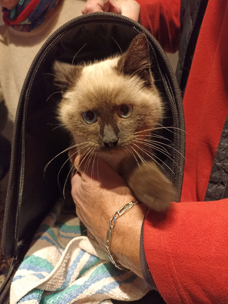 aris2 • Association Galia